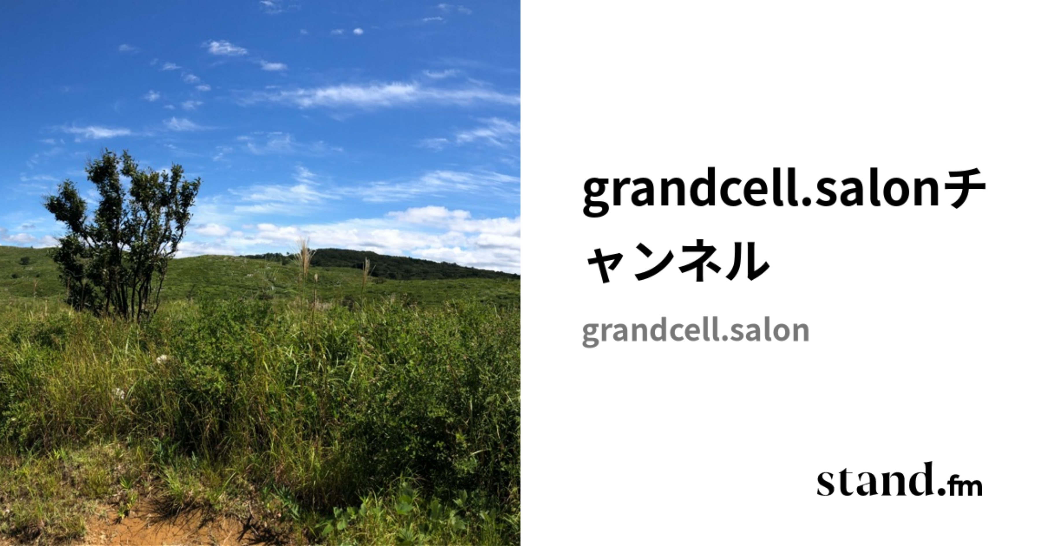 grandcell.salonチャンネル | stand.fm