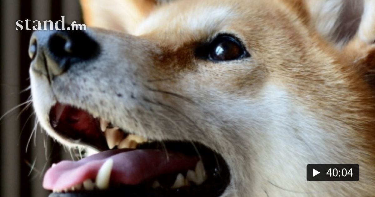 犬は猛獣である【朗読】太宰治「畜犬談」 - 小石川音録庵 | stand.fm