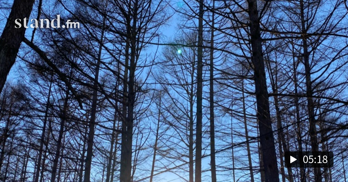 #347 maco+mocoへ応援ポエム💕くーくまさん、ありがとう🍋 - Mac🍋 | stand.fm