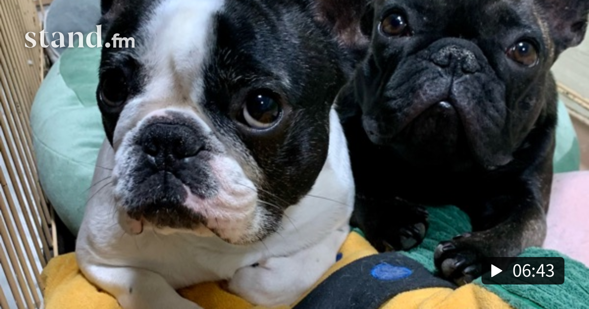 #8 なんで「リタイア60」って名前にしたの？？ - リタイア60のブログ×PayPay×雑談radio | stand.fm