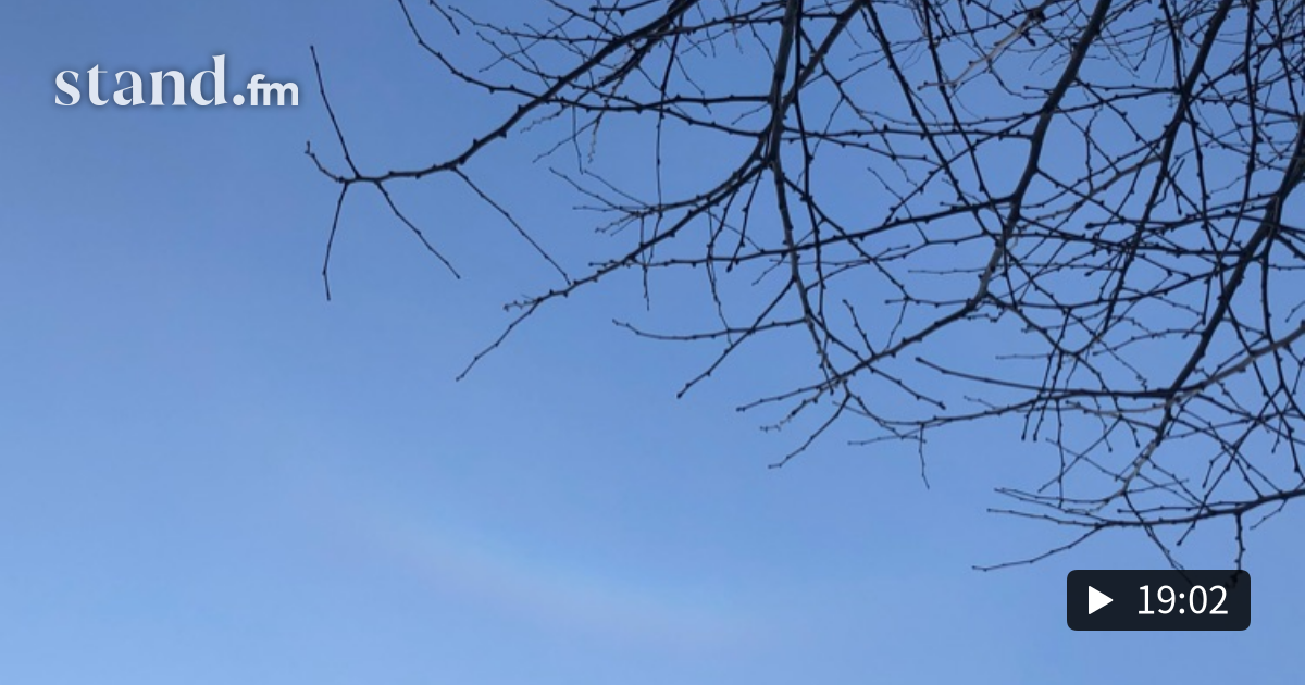 ＃311 今日の華言（ハナコト）〜信じる力ブレない力 - スタエフはなこと | stand.fm