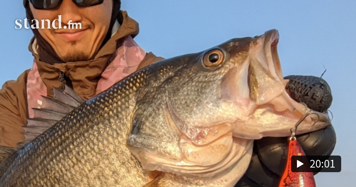 春の"苦手意識"を克服する - DeeeP STREAM RADIO | stand.fm