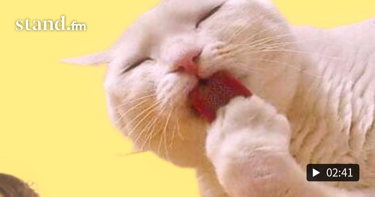 🌈日曜日の朝もfreedom🌺 - 🌈Nene🌺 耳ごこちほっこり | stand.fm