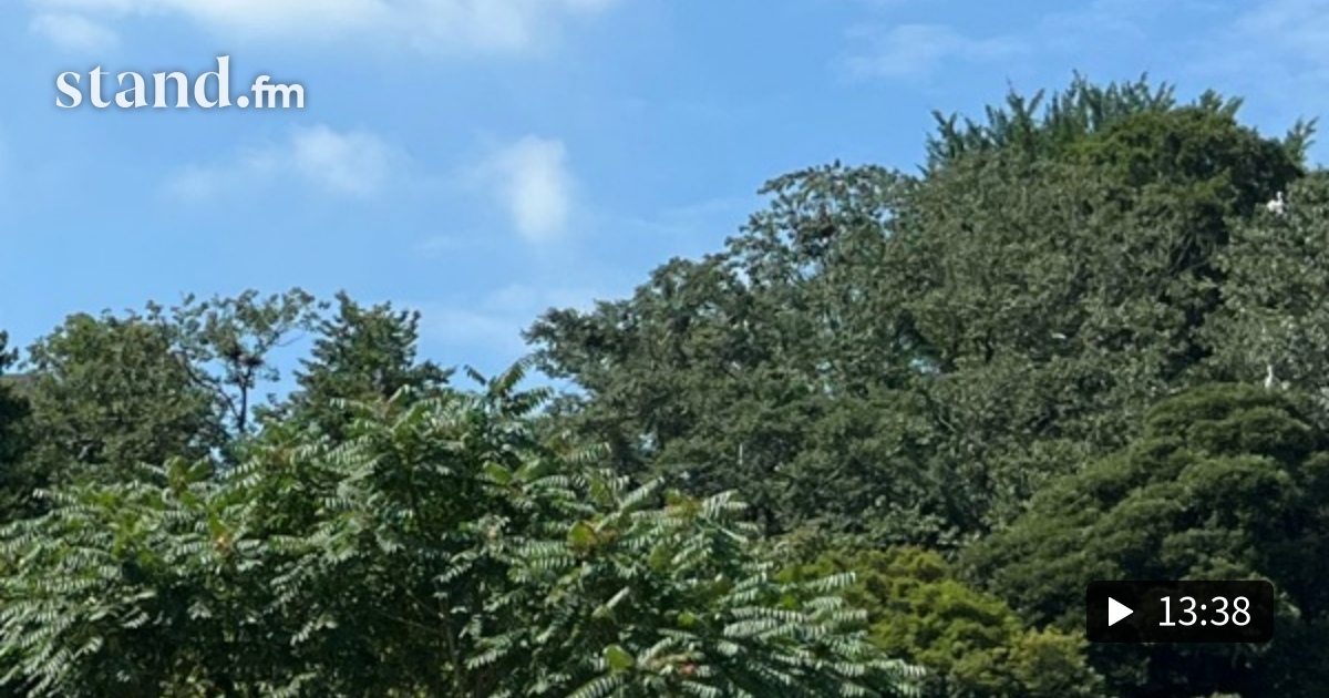 ブラックホールは善か悪か、を思索する次元で、「良かれと思って」という正義と書かれ - 身体と心と哲学と tocco laboラジオ | stand.fm