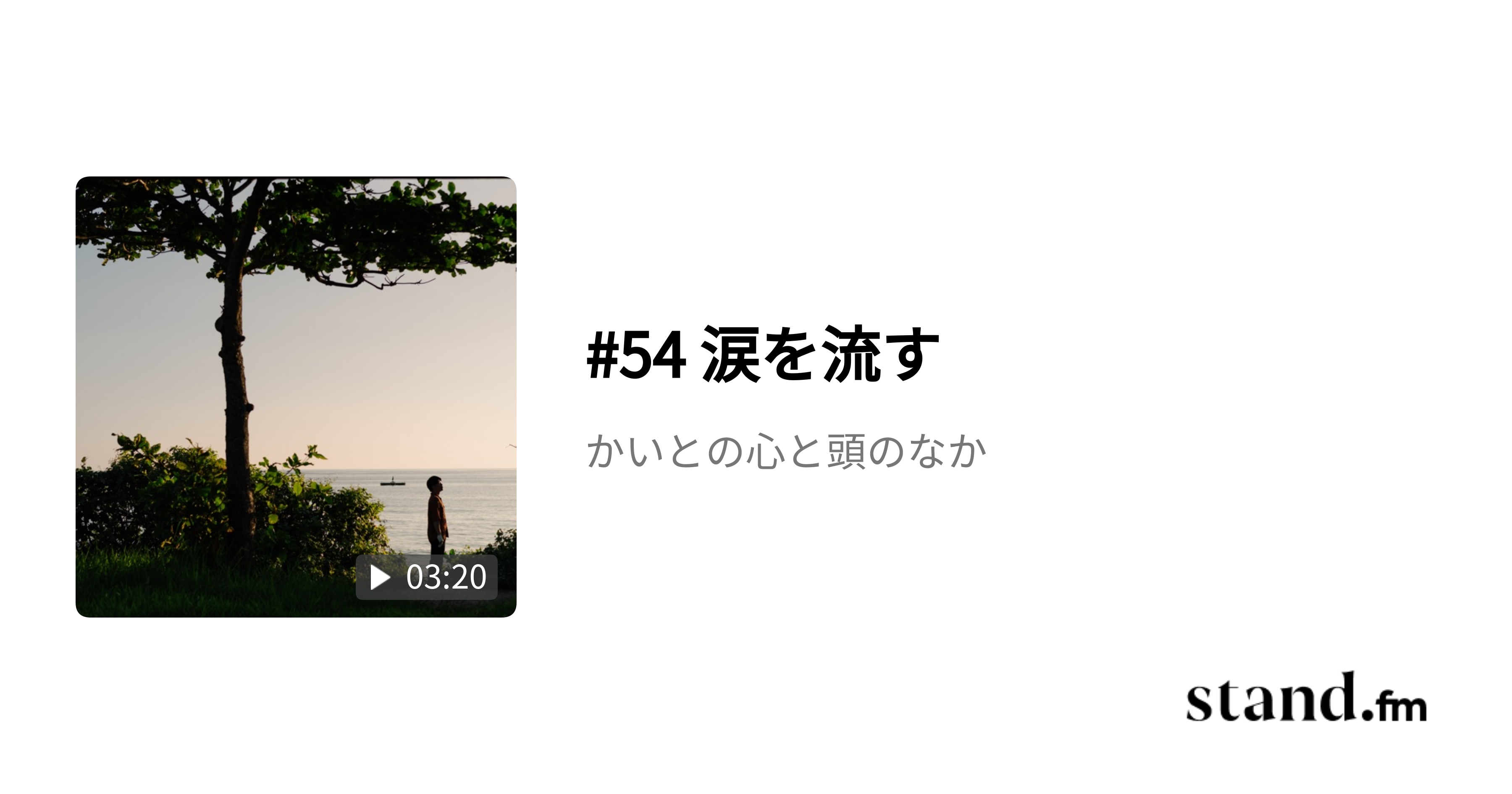 #54 涙を流す - かいとの心と頭のなか | stand.fm