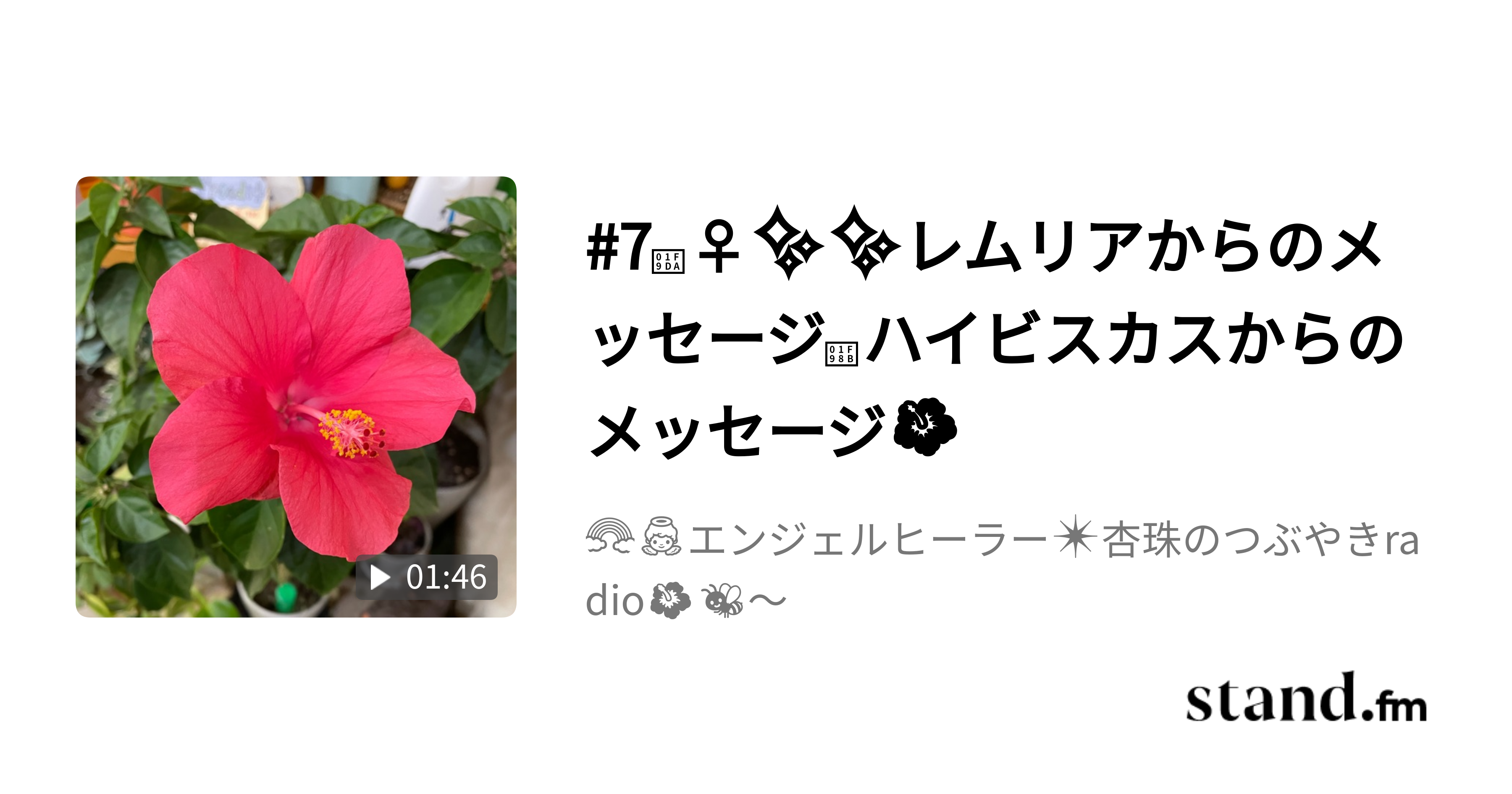 #7🧚‍♀️ レムリアからのメッセージ🦋ハイビスカスからのメッセージ🌺 - 🌈杏珠のつぶやき🌹healingradio🐝•*¨*•.¸¸☆* | stand.fm