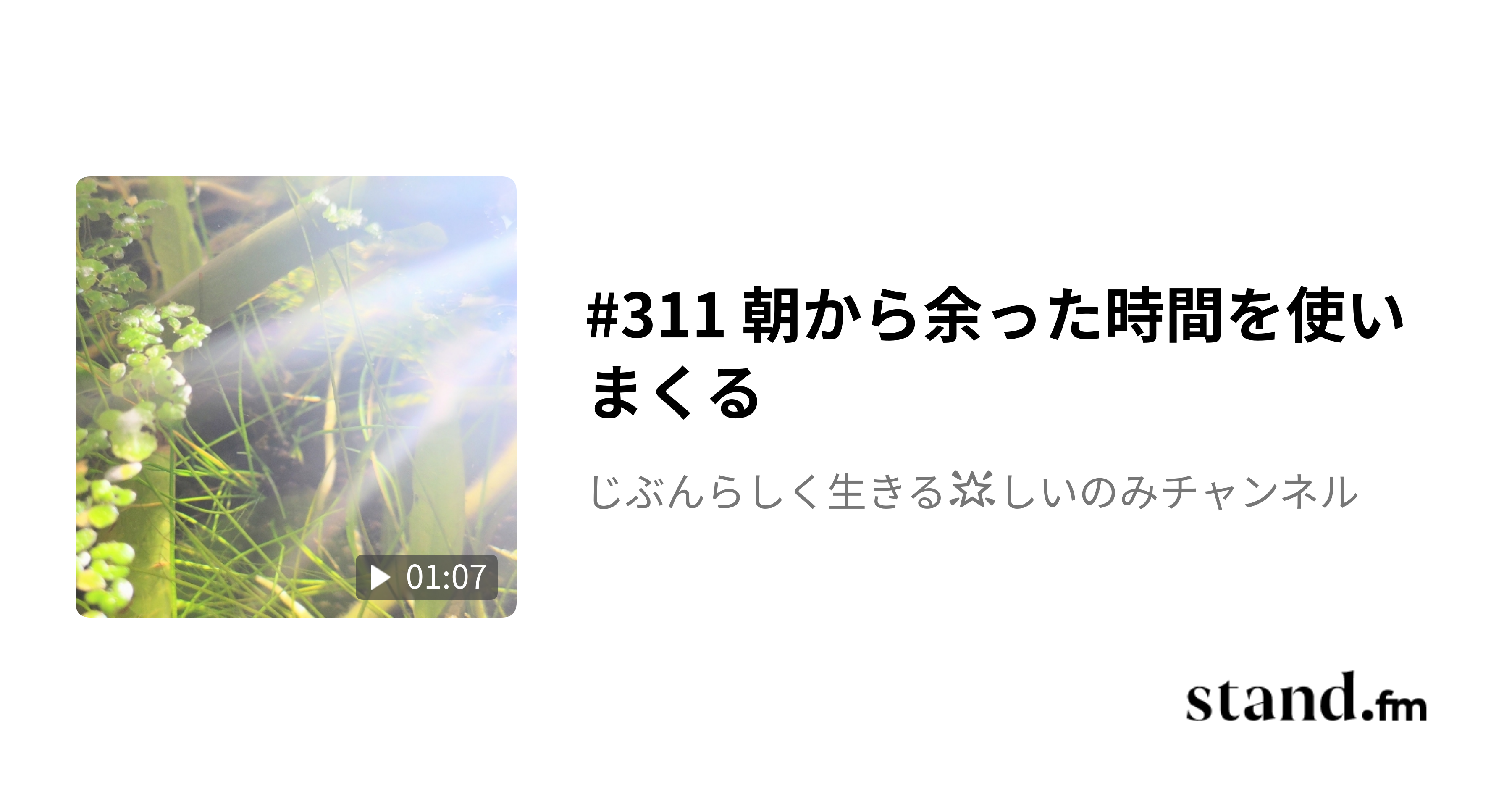 #311 朝から余った時間を使いまくる - 声のせかい しいのみチャンネル | stand.fm