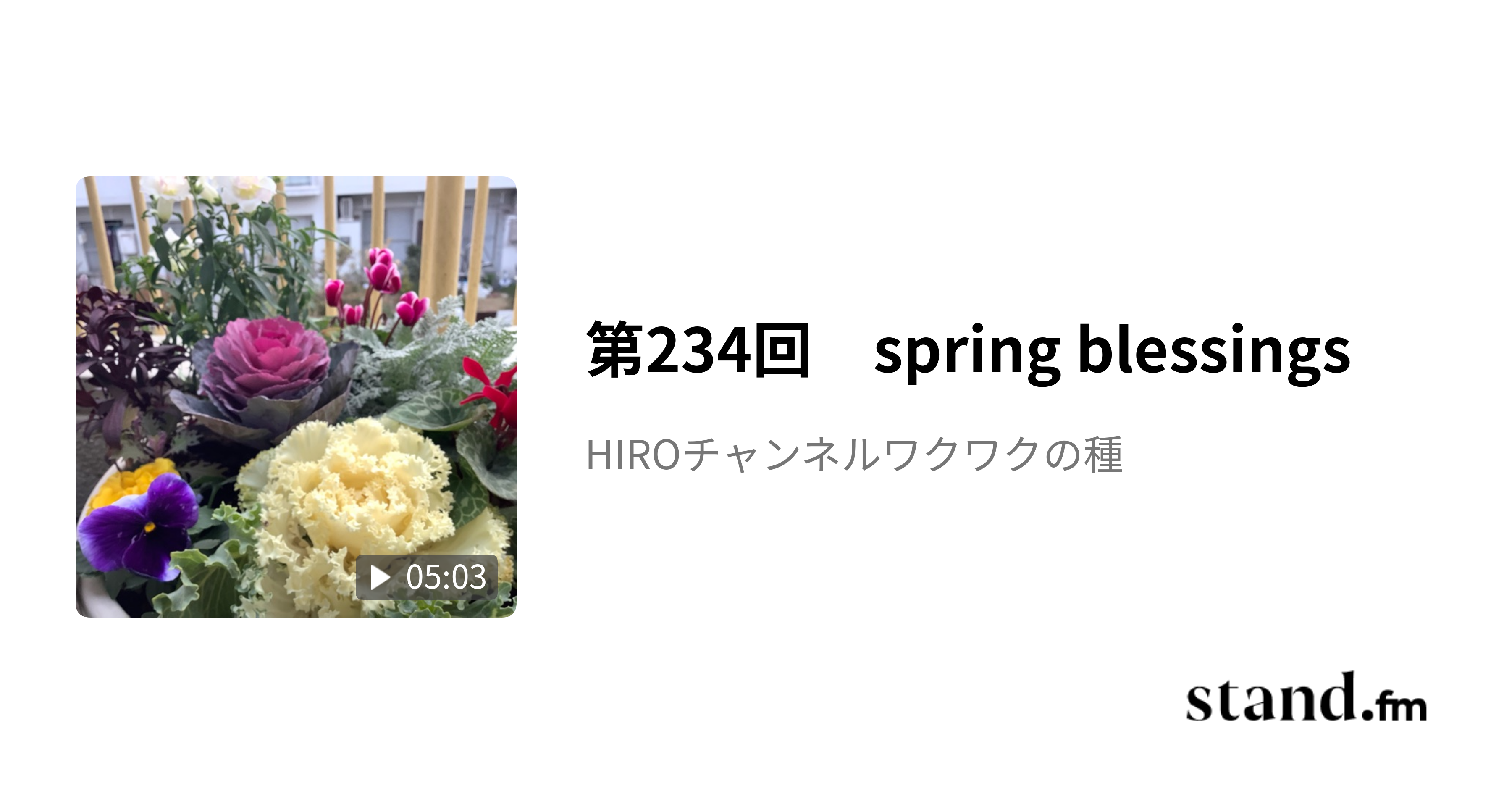 第234回 spring blessings - HIROチャンネルワクワクの種 | stand.fm
