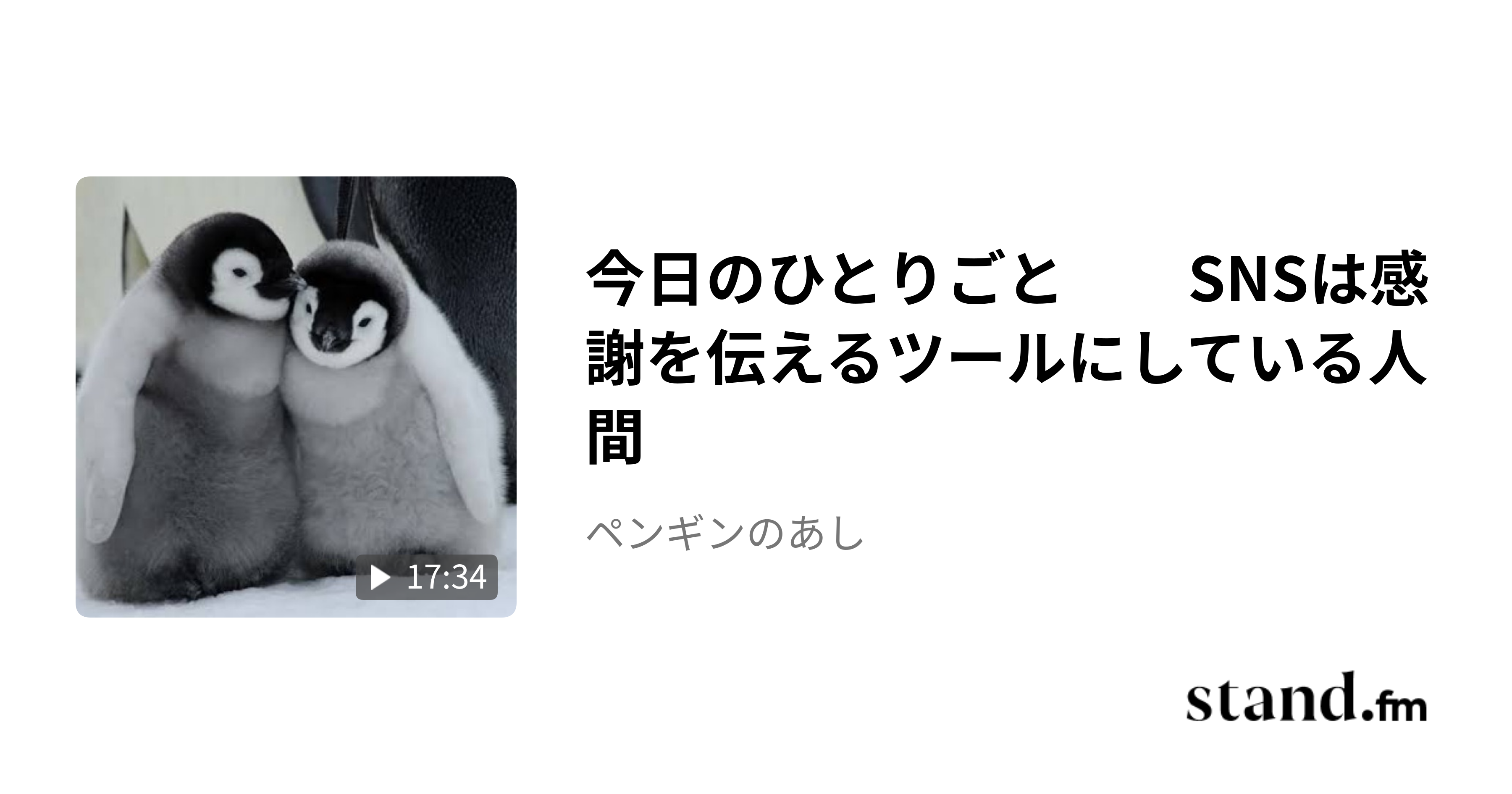 今日のひとりごと SNSは感謝を伝えるツールにしている人間 - ペンギンのあし | stand.fm