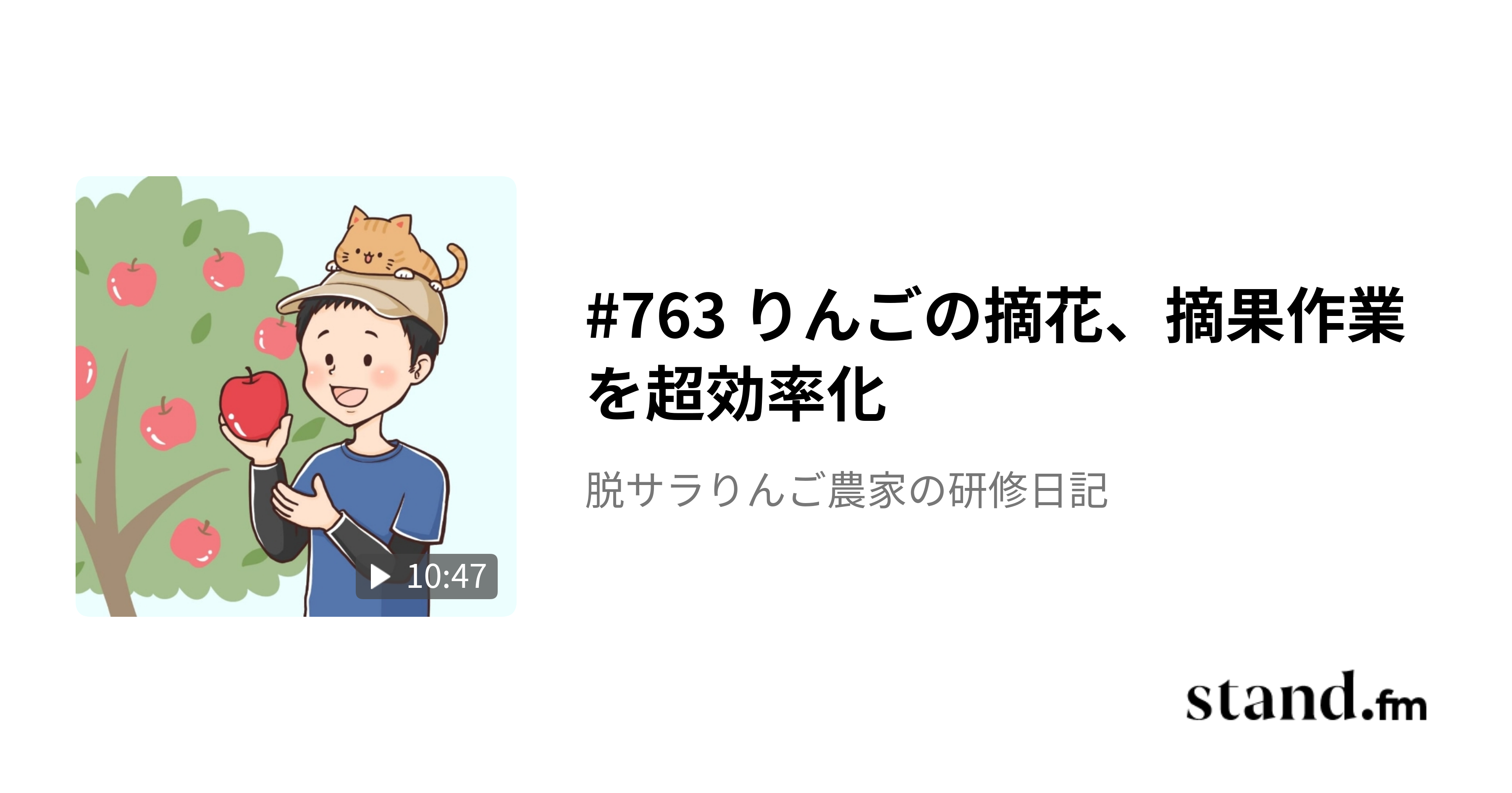 #763 りんごの摘花、摘果作業を超効率化 - 脱サラりんご農家の研修日記 | stand.fm