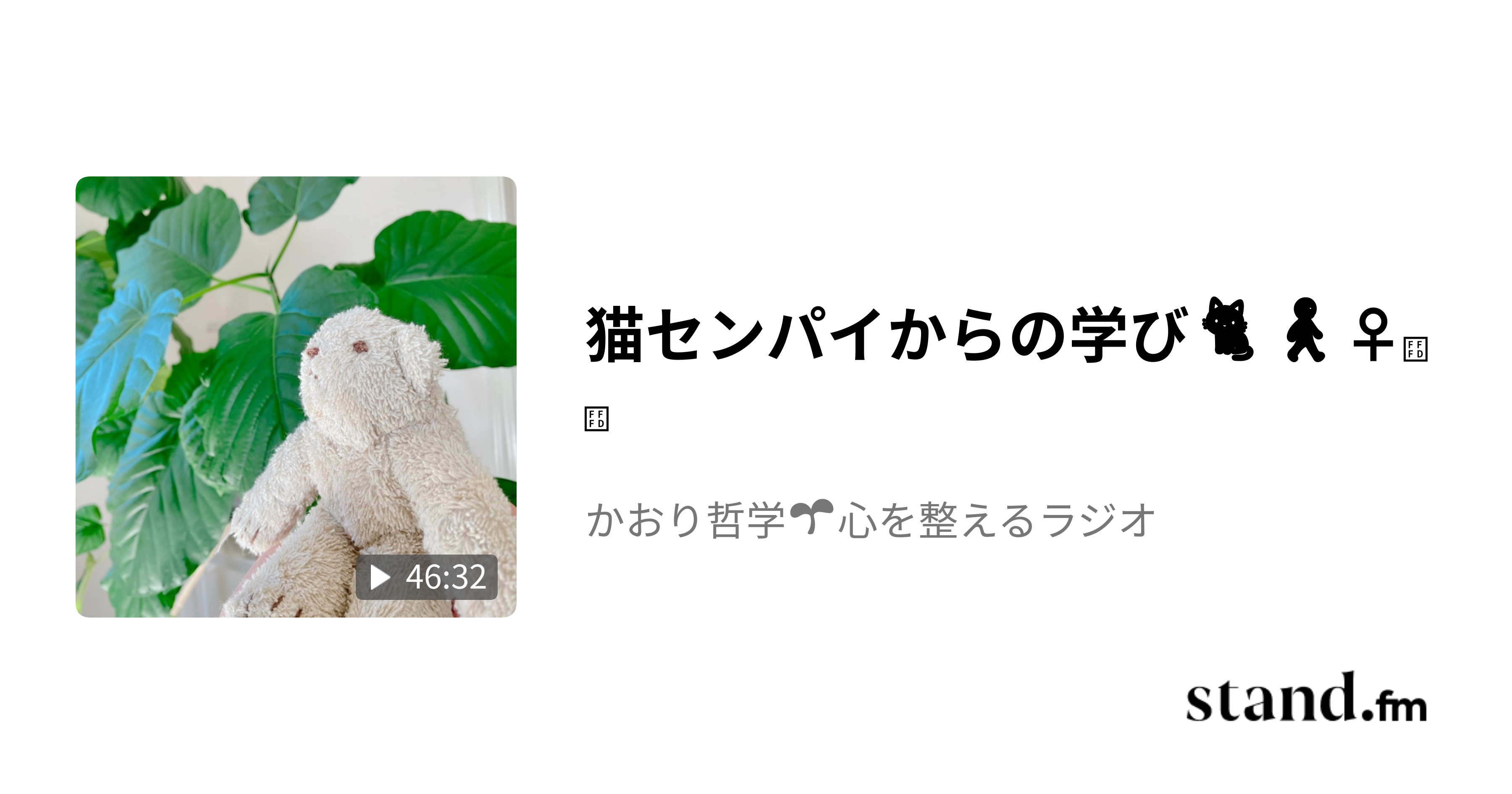 猫センパイからの学び🐈🚶‍♀️🍱 - かおり哲学🌱心を整えるラジオ | stand.fm