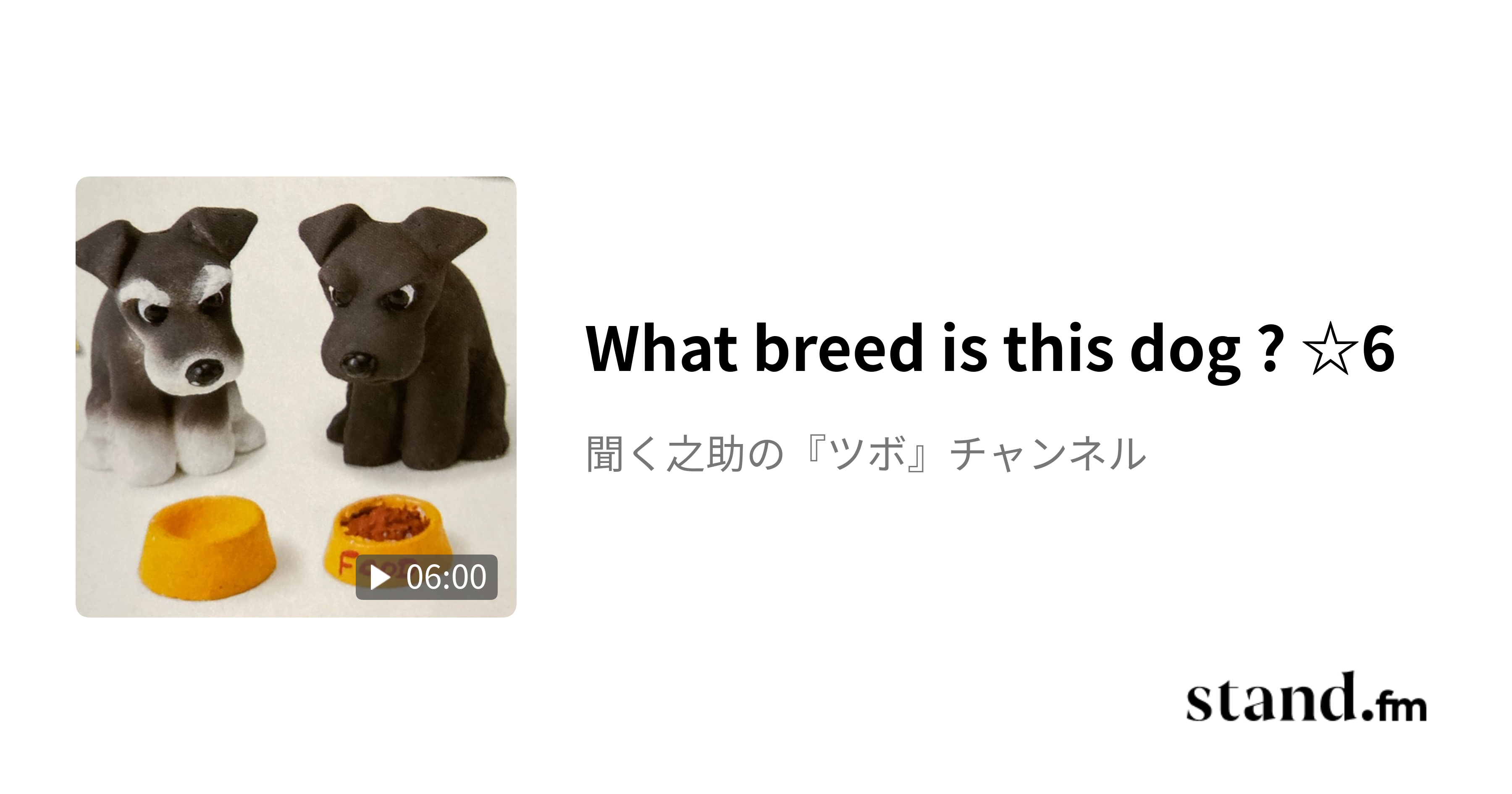 What breed is this dog ? ☆6 - 聞く之助の『ツボ』チャンネル | stand.fm