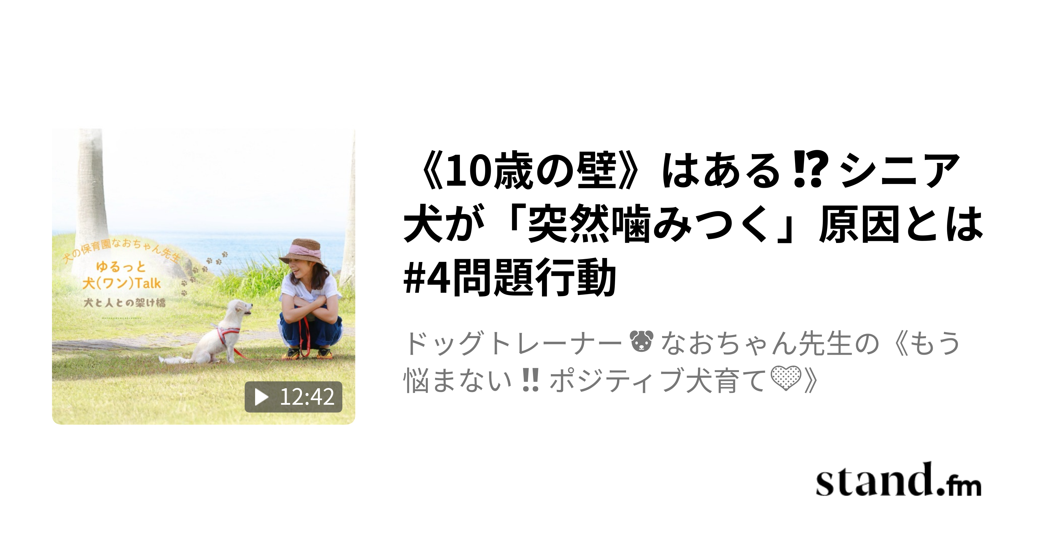 《10歳の壁》はある⁉️シニア犬が「突然噛みつく」原因とは#4問題行動 - ドッグトレーナー🐶なおちゃん先生の《もう悩まない‼️ポジティブ犬 ...