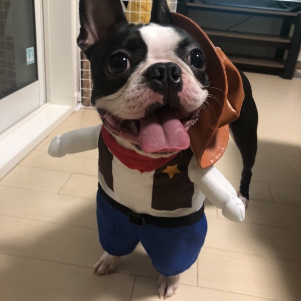 けにチャンネル | stand.fm