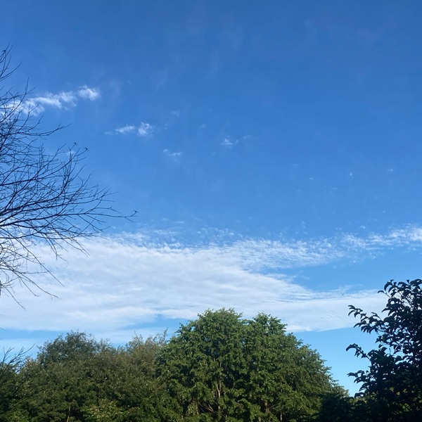 のんびりしている！！ | stand.fm